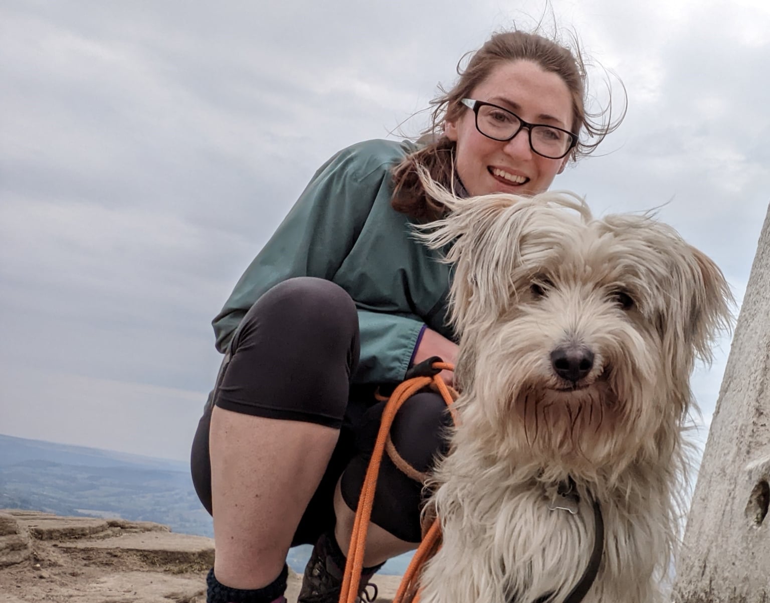 Best Fish Cat Food | Cat Food Advisor