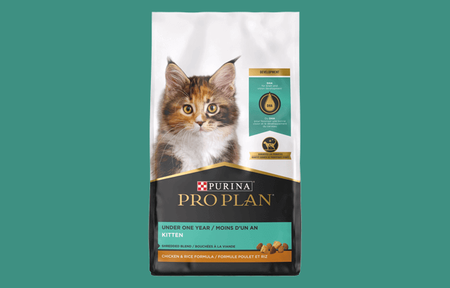 Purina Pro Plan Kitten Dry Food Review | Cat Food Advisor